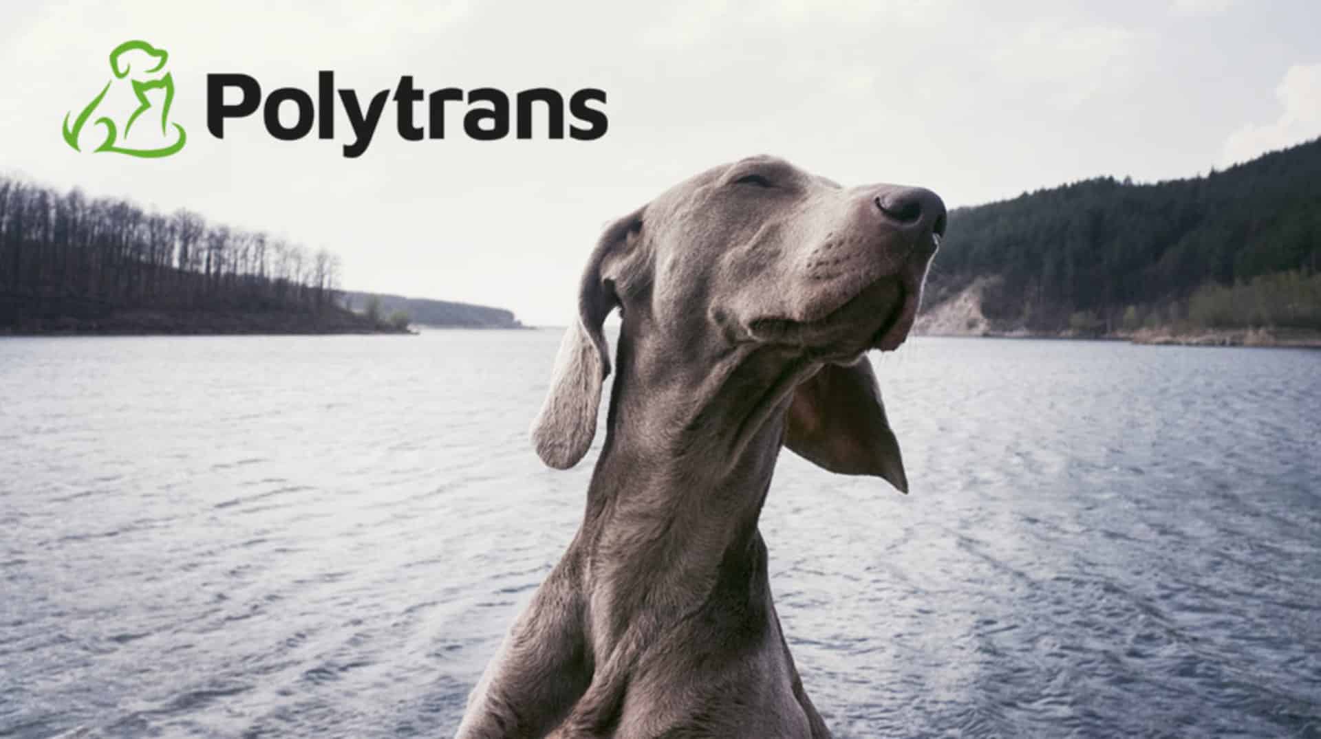 Polytrans Avis - Présentation, test alimentation, hygiène et soin ...